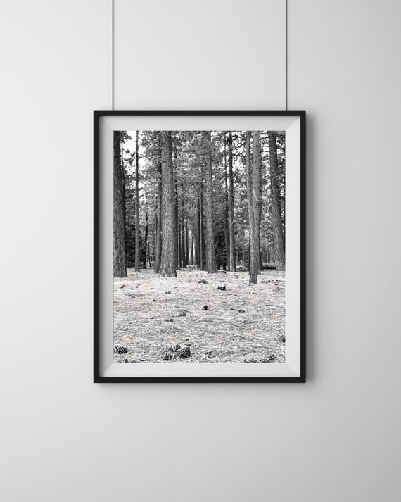 PRINTABLE Forest Trees Canvas Print Wall Decor Pine Tress - Etsy