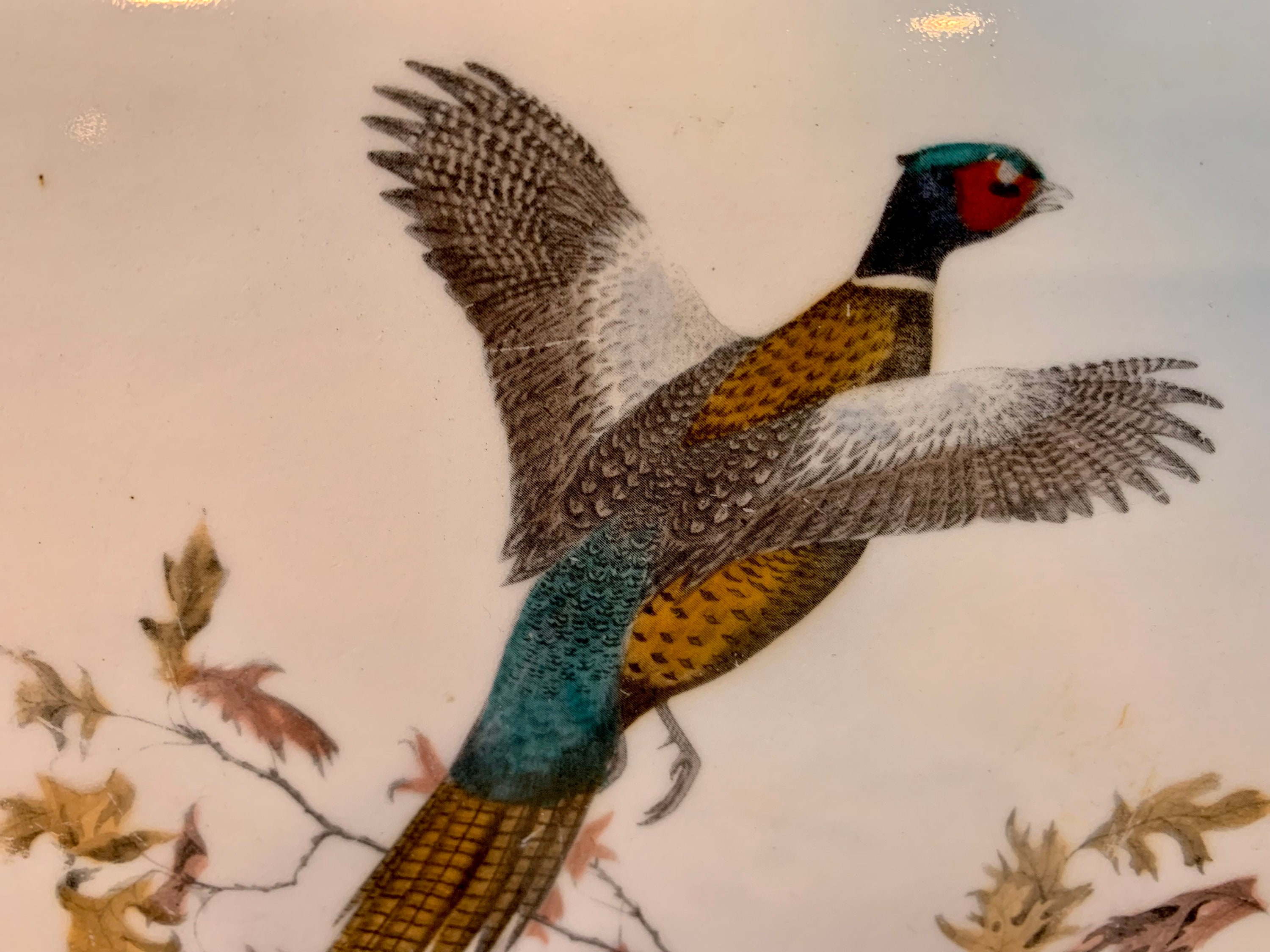 Assortment of Wheeling Tiles With Birds on Them. - Etsy