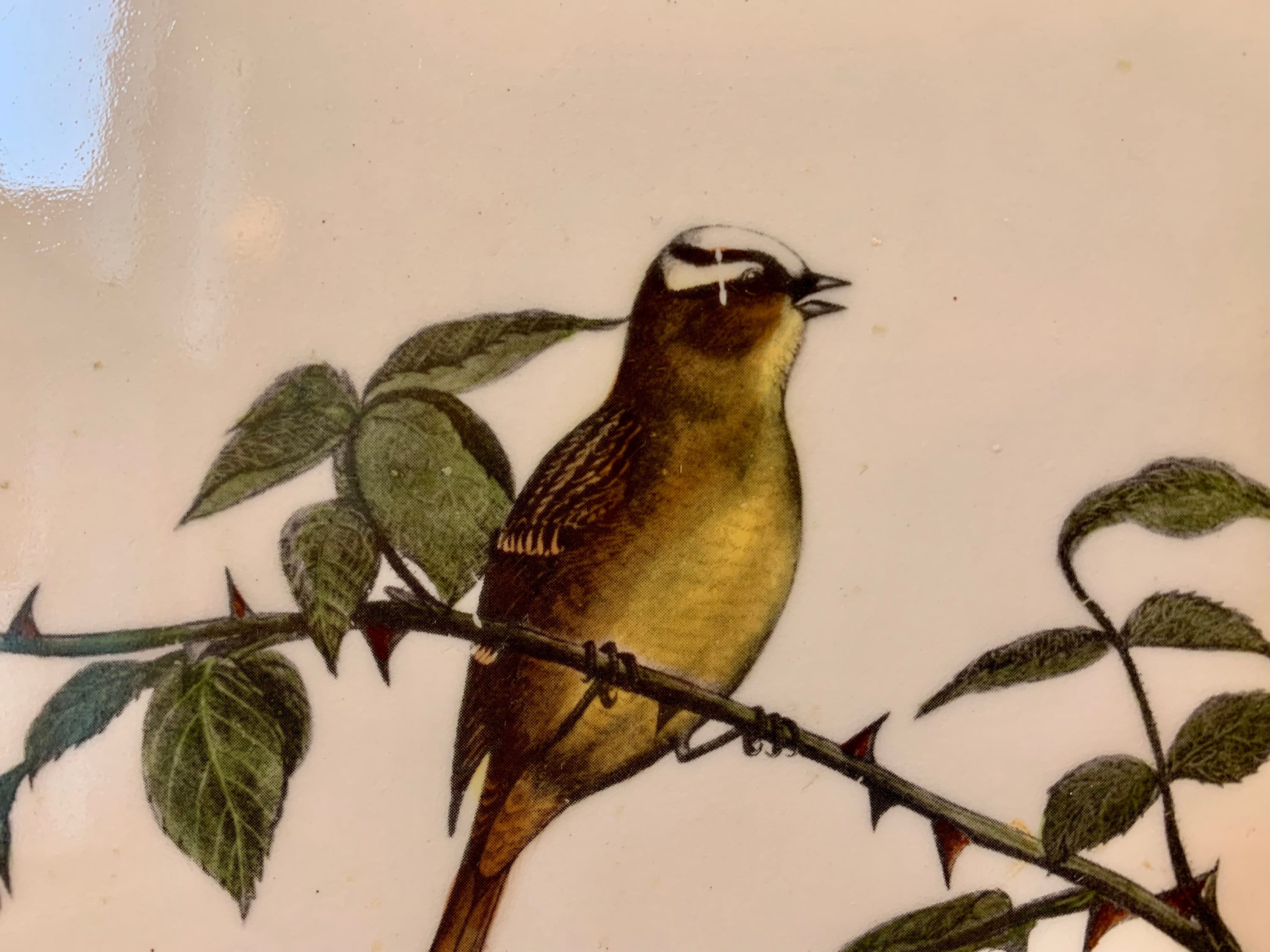 Assortment of Wheeling Tiles With Birds on Them. - Etsy