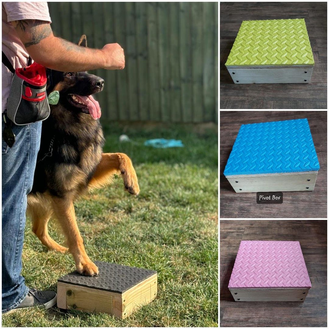 Dog Training Pivot Box/platform/dog Sports/obedience/agility/igp ...