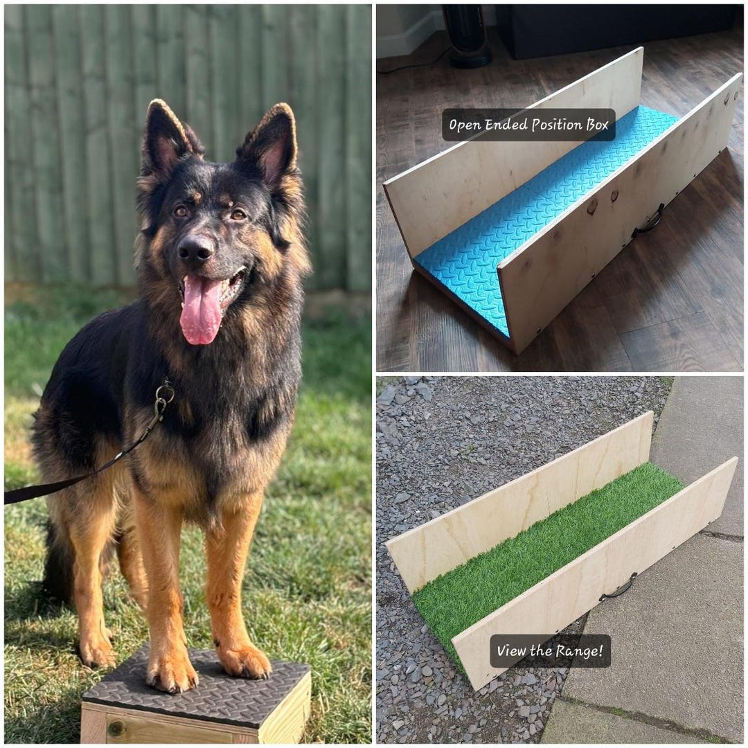 Dog Training/dog Sports Position Box/shaping Box. IGP Training ...