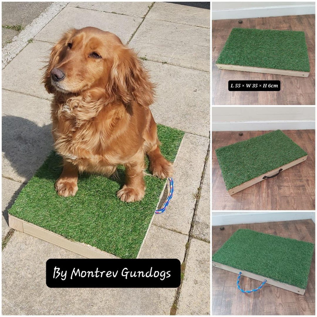 Dog Training Place Board/platform/dog Sports/obedience: for Gundogs ...