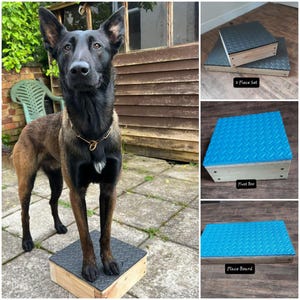 Dog Training Pivot Box and Place Board 2 Piece Bundle for Dog Agility ...