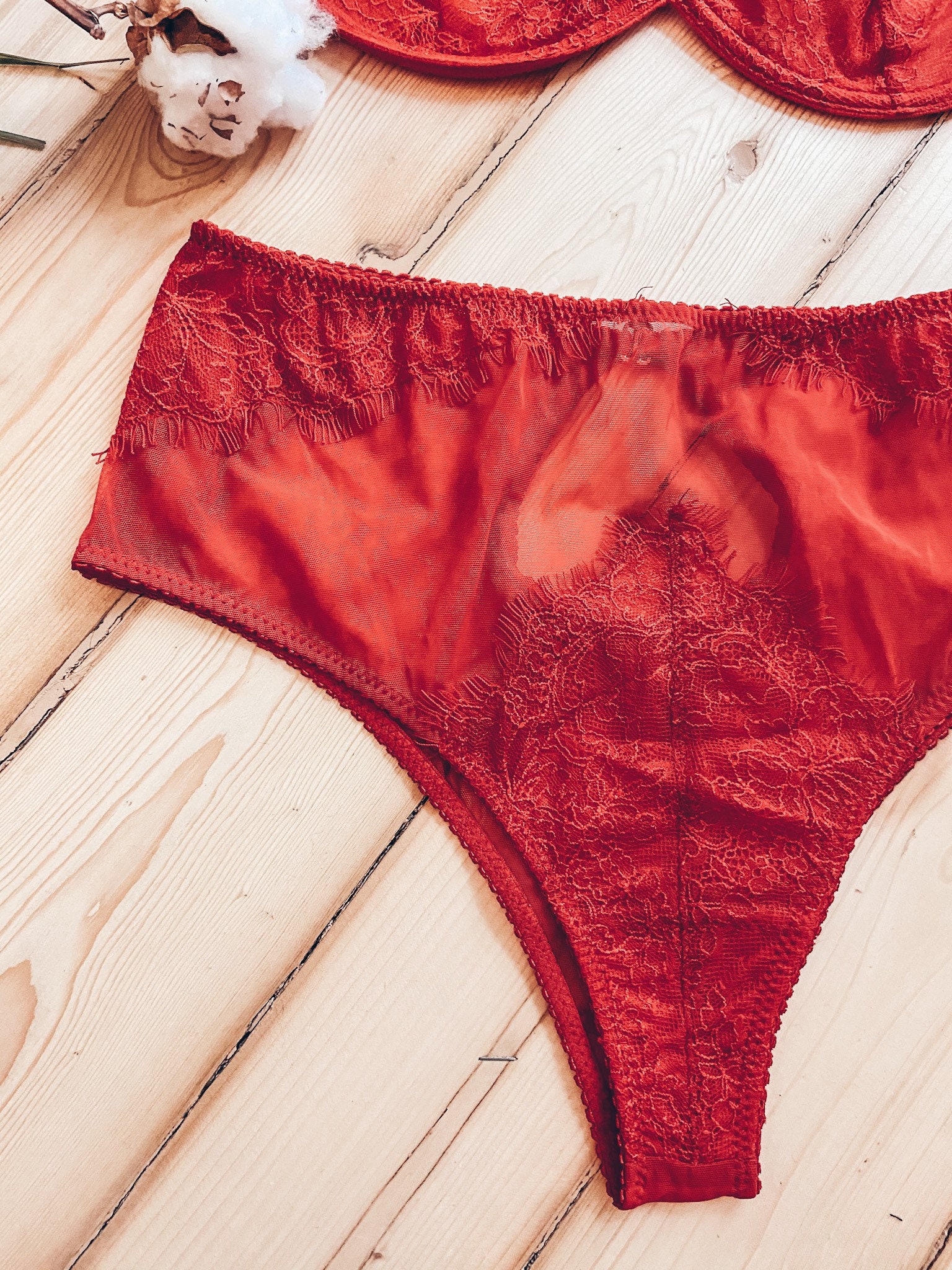 BRENDA RED MESH Bikini / Luxury Underwear Sheer Sexy Panties. Lux ...