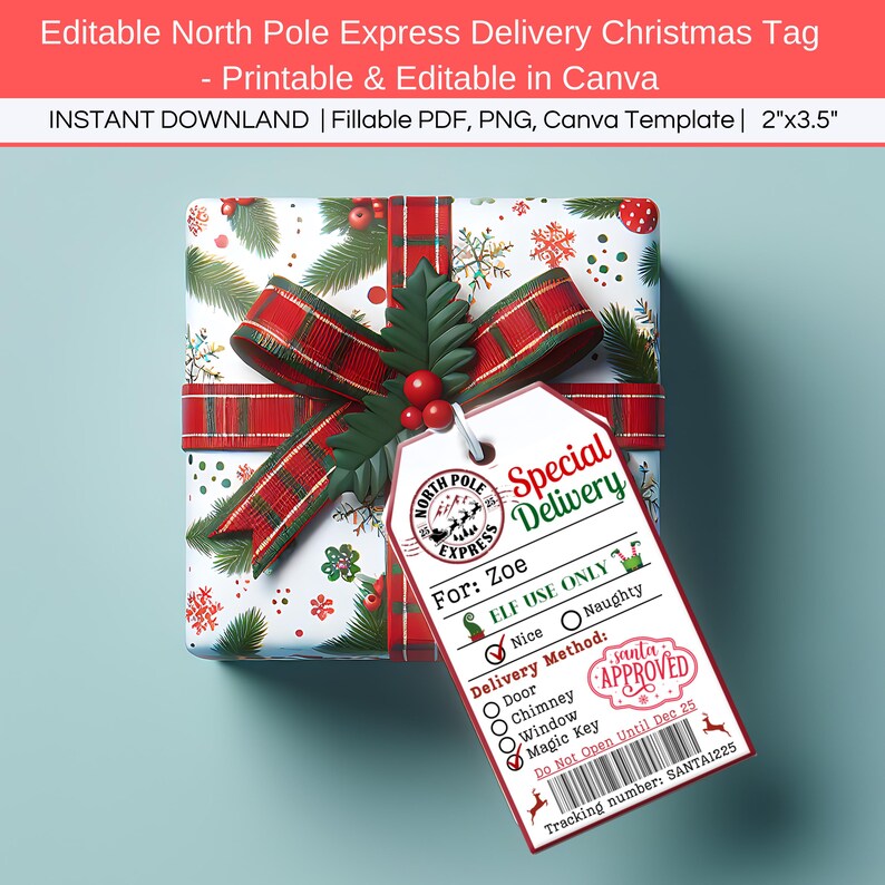 Editable North Pole Express Mail Special Delivery Christmas Gift Tag ...