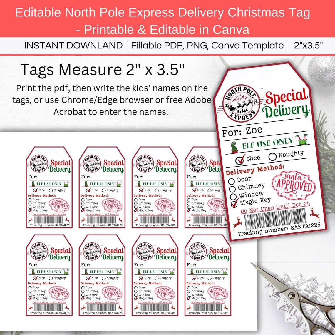 Editable North Pole Express Mail Special Delivery Christmas Gift Tag ...
