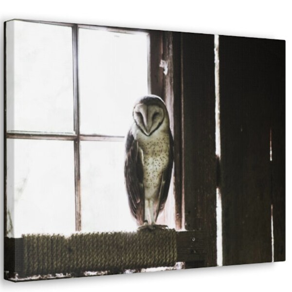 Hedwig Poster - Etsy