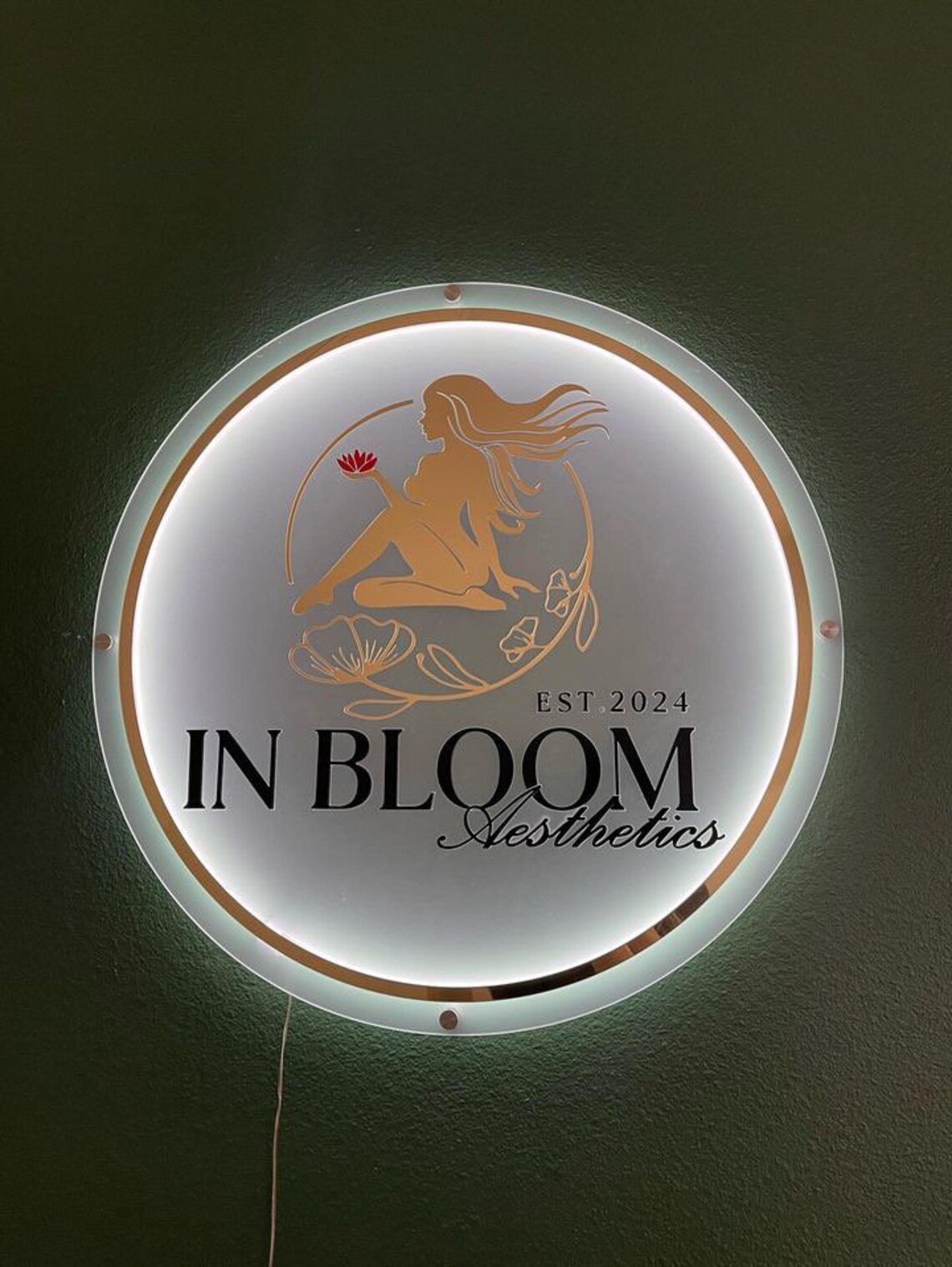 Custom Backlit Acrylic Sign | Acrylic Logo Sign | LED Business Sign ...