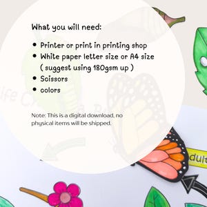 Butterfly Life Cycle Paper Craft: Cut, Build & Learn (PDF) - Etsy Australia