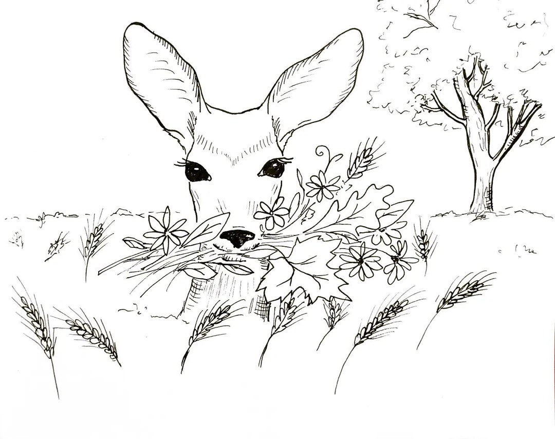 Lovely Doe | Caricature | Hand Drawn Illustration | Bouquet Clip Art ...