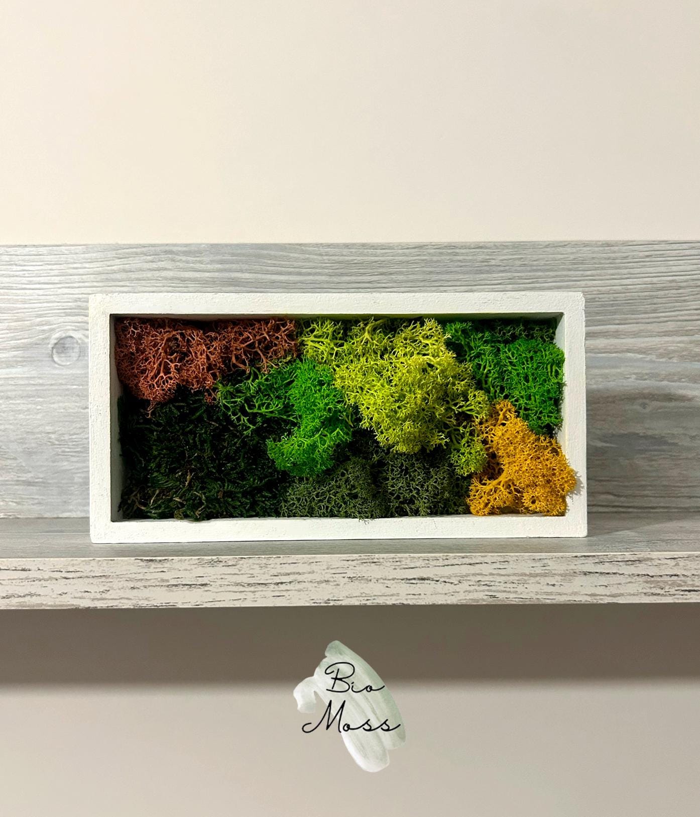 Handcrafted Preserved Moss Art, Rectangular Home Wall Decor, Real Moss ...
