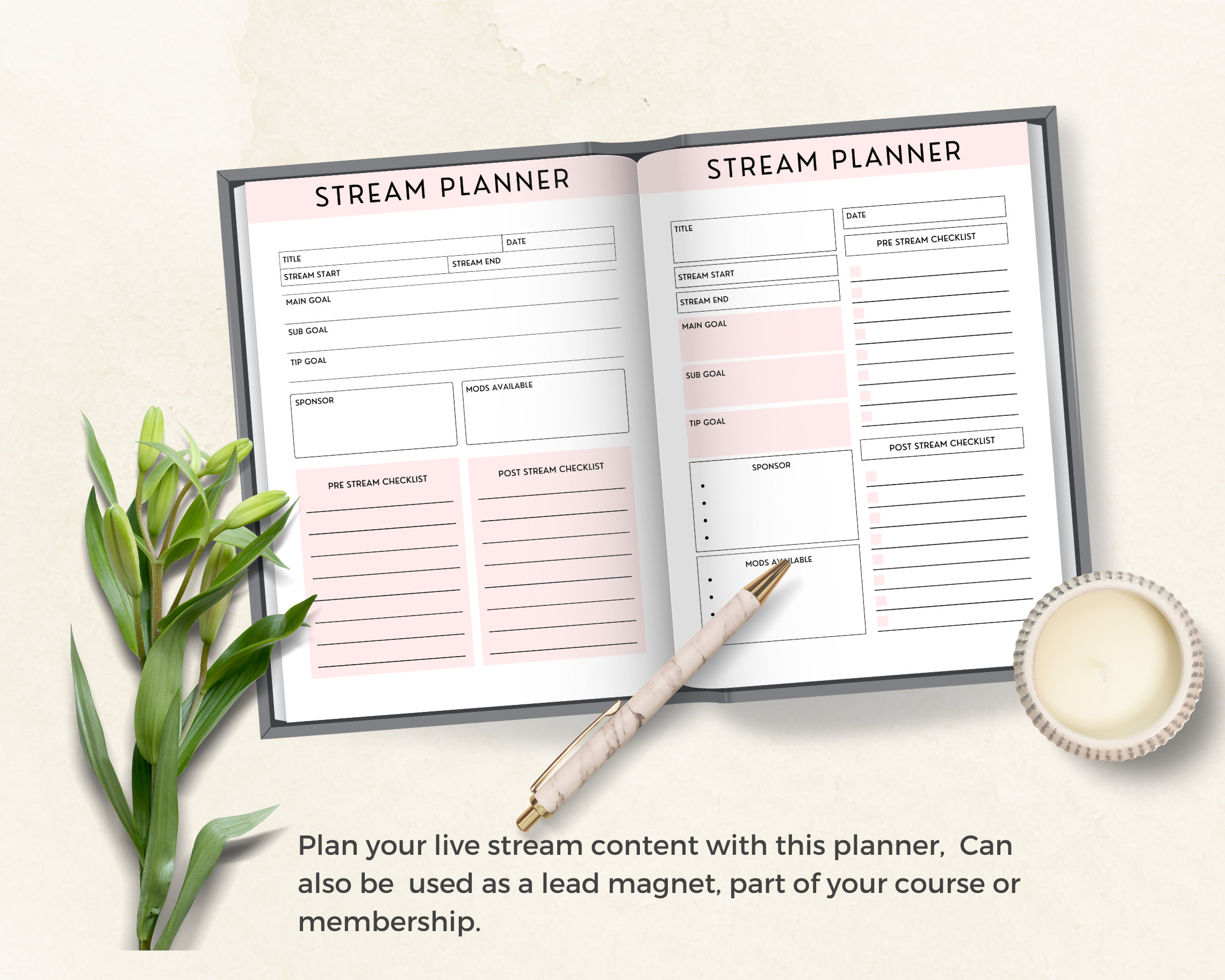 Live Stream Organizer | Content Planner | INSTANT DOWNLOAD | Live ...