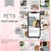 Pet Instagram Templates Dog Instagram Templates Dog Instagram Icons ...