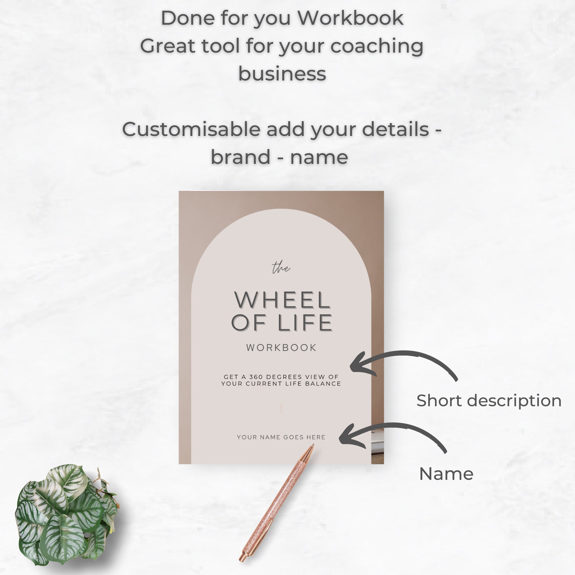 Wheel of Life Workbook, INSTANT DOWNLOAD, Coaching Worksheet, Workbook ...