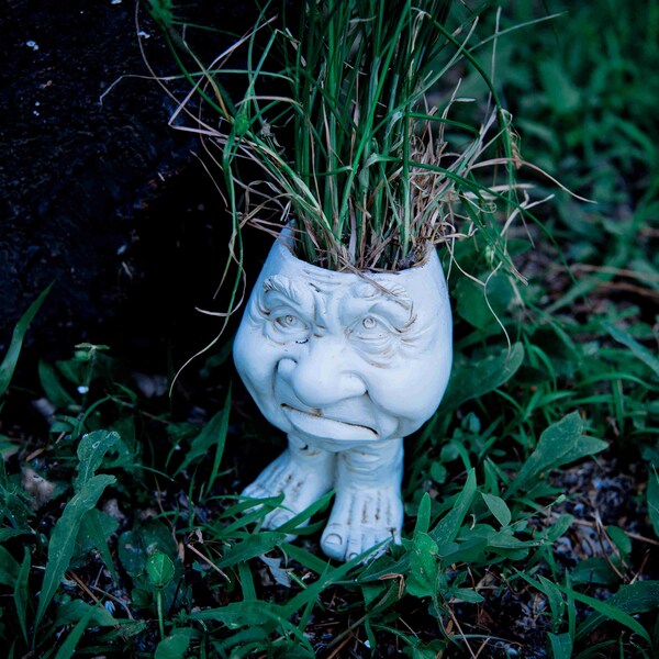 Head Planter - Etsy