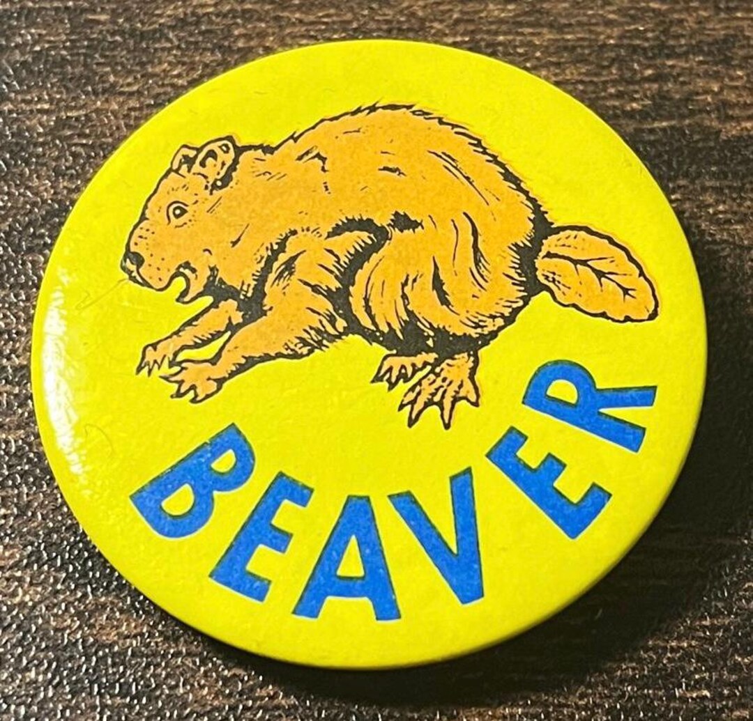 1990s Vintage Beaver Scout Badge - Etsy