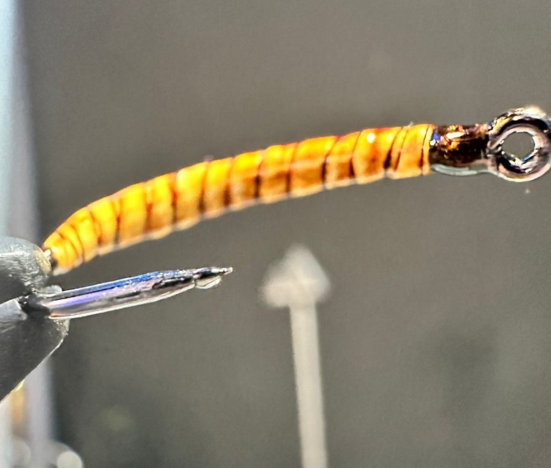 Realistic Mealworm Fly - Etsy