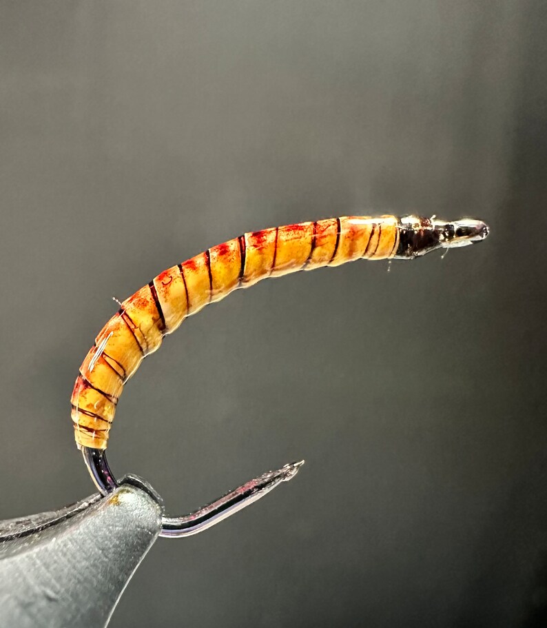 Realistic Mealworm Fly - Etsy