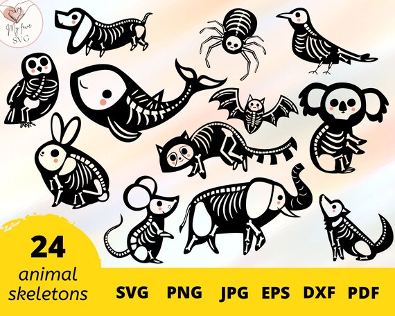 Animal Skeleton Clipart Images