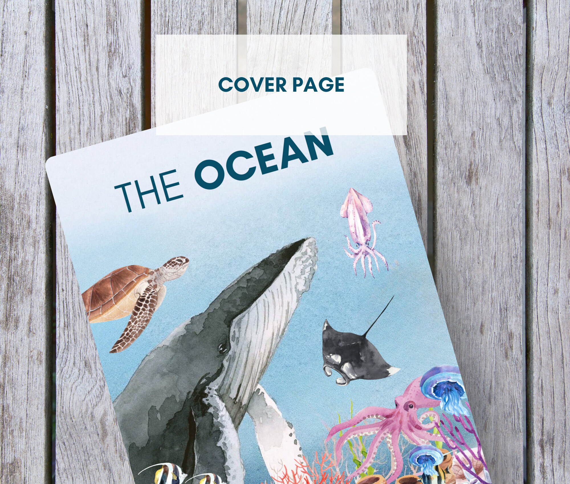 OCEAN Unit Study Educational Resources for Teachers, Homeschool and ...