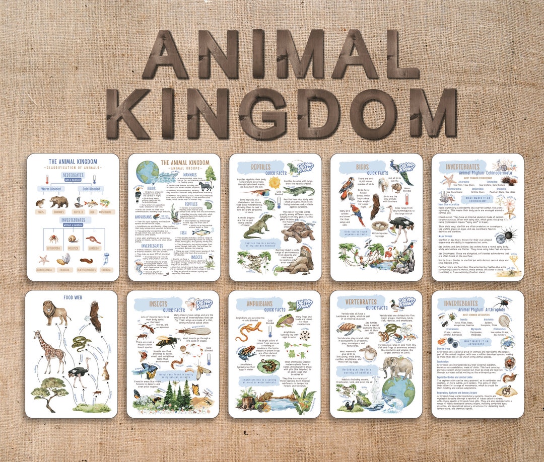 ANIMAL KINGDOM Unit Study Educational Resources for Teachers ...