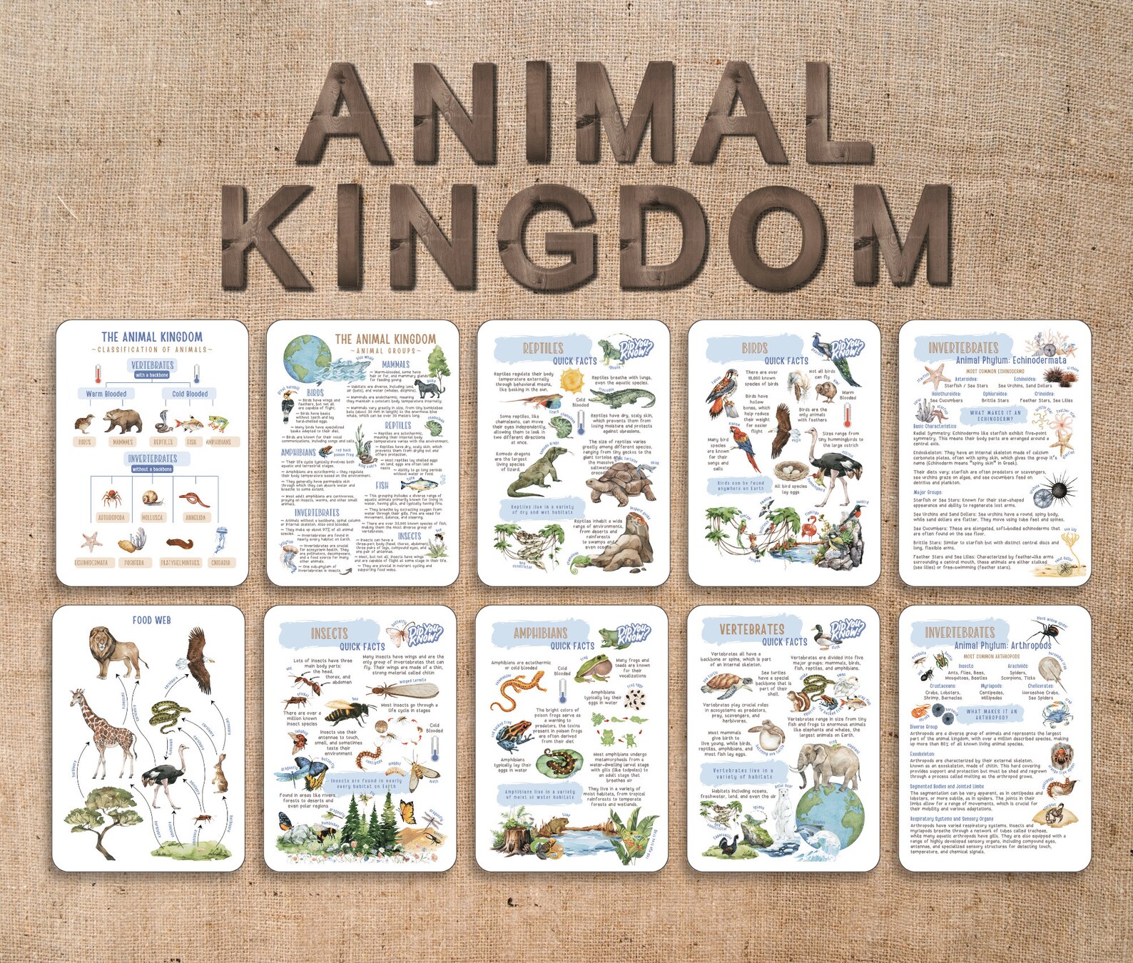Nature Study Animal Kingdom Educational Pack for Teachers, Homeschool ...
