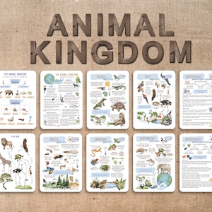 Nature Study Animal Kingdom Educational Pack for Teachers, Homeschool ...