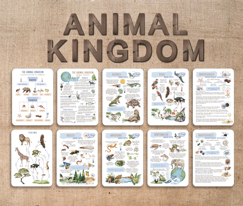 Nature Study Animal Kingdom Educational Pack for Teachers, Homeschool ...