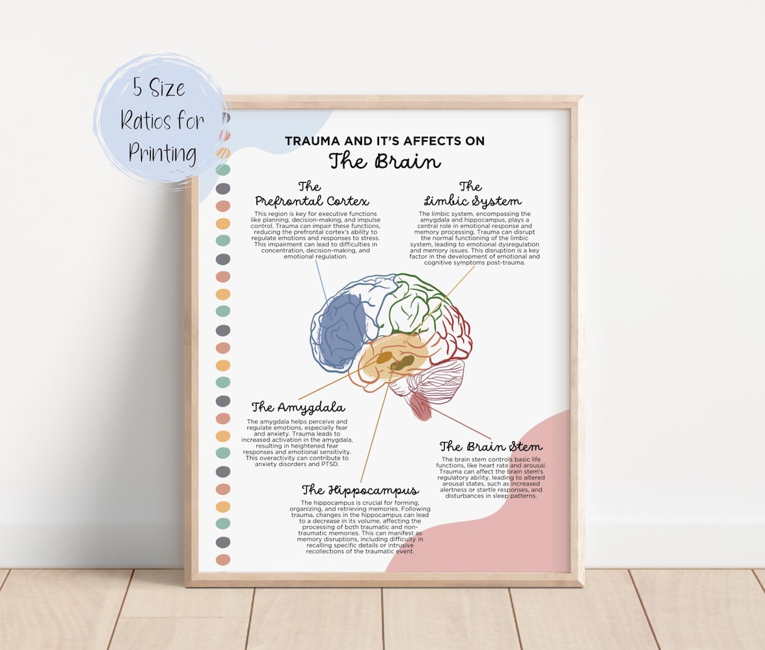How Trauma Affects the Brain Therapist Office Decor PTSD Recovery CBT ...