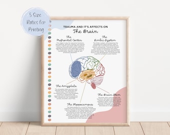 How Trauma Affects the Brain Therapist Office Decor PTSD Recovery CBT ...