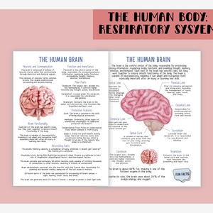 Human Anatomy Unit Study Educational Pack for Teachers, Homeschooling ...