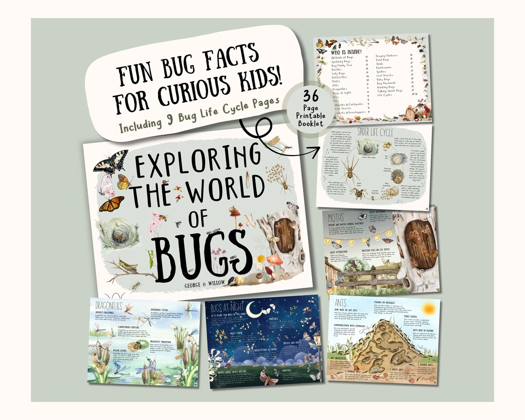 Insect Study and Bug Life Cycles for Kids Printable Booklet With ...