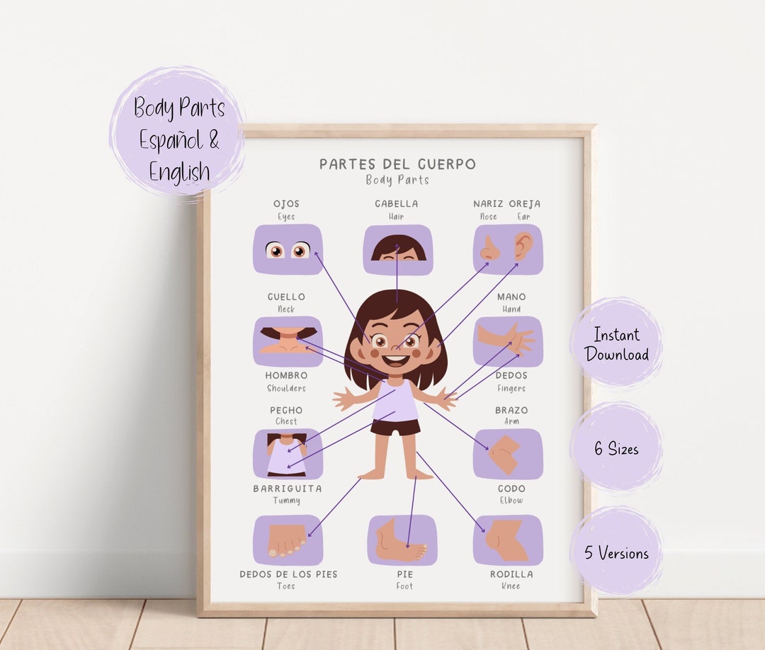 Bilingual Spanish and English Body Parts Educational Poster, Homeschool ...