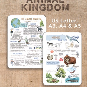 Nature Study Animal Kingdom Educational Pack for Teachers, Homeschool ...