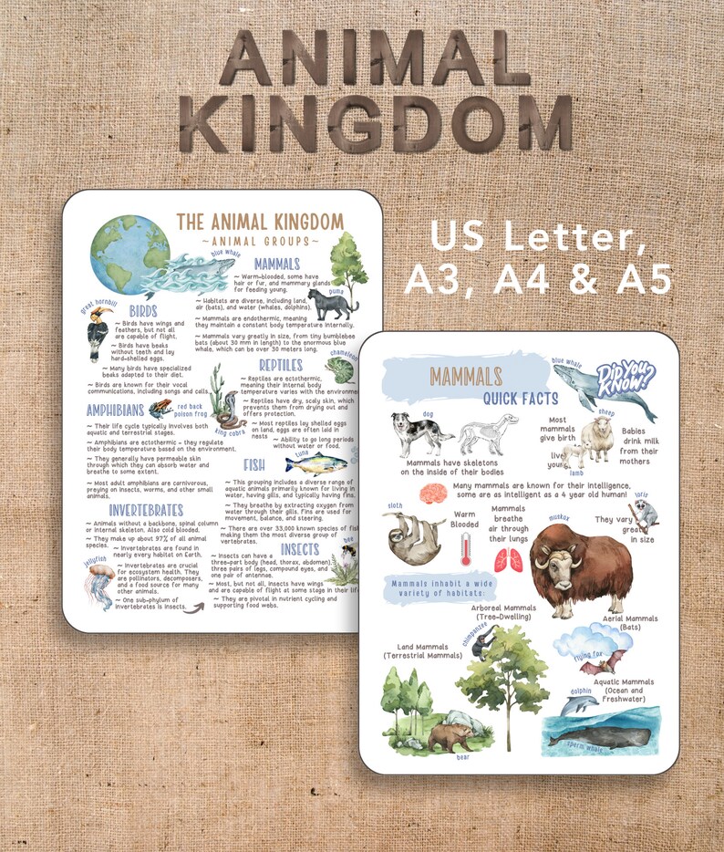 Nature Study Animal Kingdom Educational Pack for Teachers, Homeschool ...