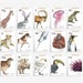 Animal Alphabet Flashcards for Toddlers Homeschool Resources Montessori ...