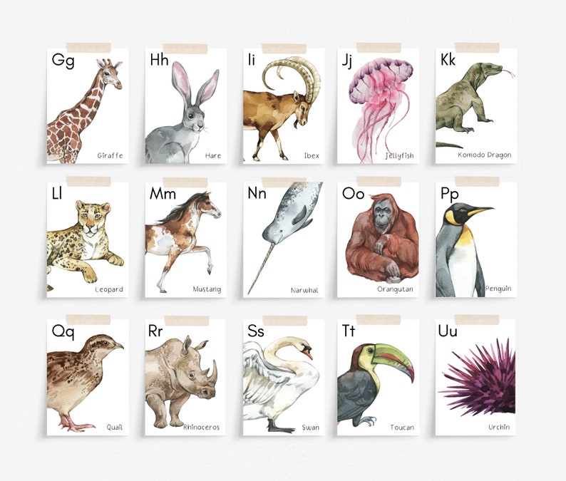 Animal Alphabet Flashcards for Toddlers Homeschool Resources Montessori ...