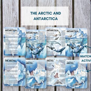 OCEAN Unit Study Educational Resources for Teachers, Homeschool and ...