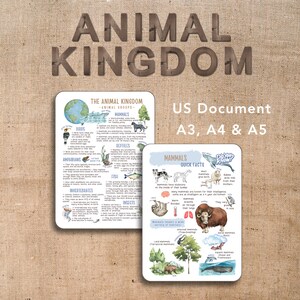 ANIMAL KINGDOM Unit Study Educational Resources for Teachers ...
