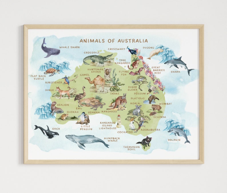 Educational Map of Australian Animals Poster Print for - Etsy Australia