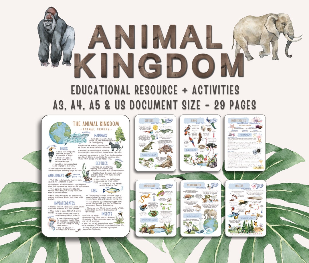 ANIMAL KINGDOM Unit Study Educational Resources for Teachers ...