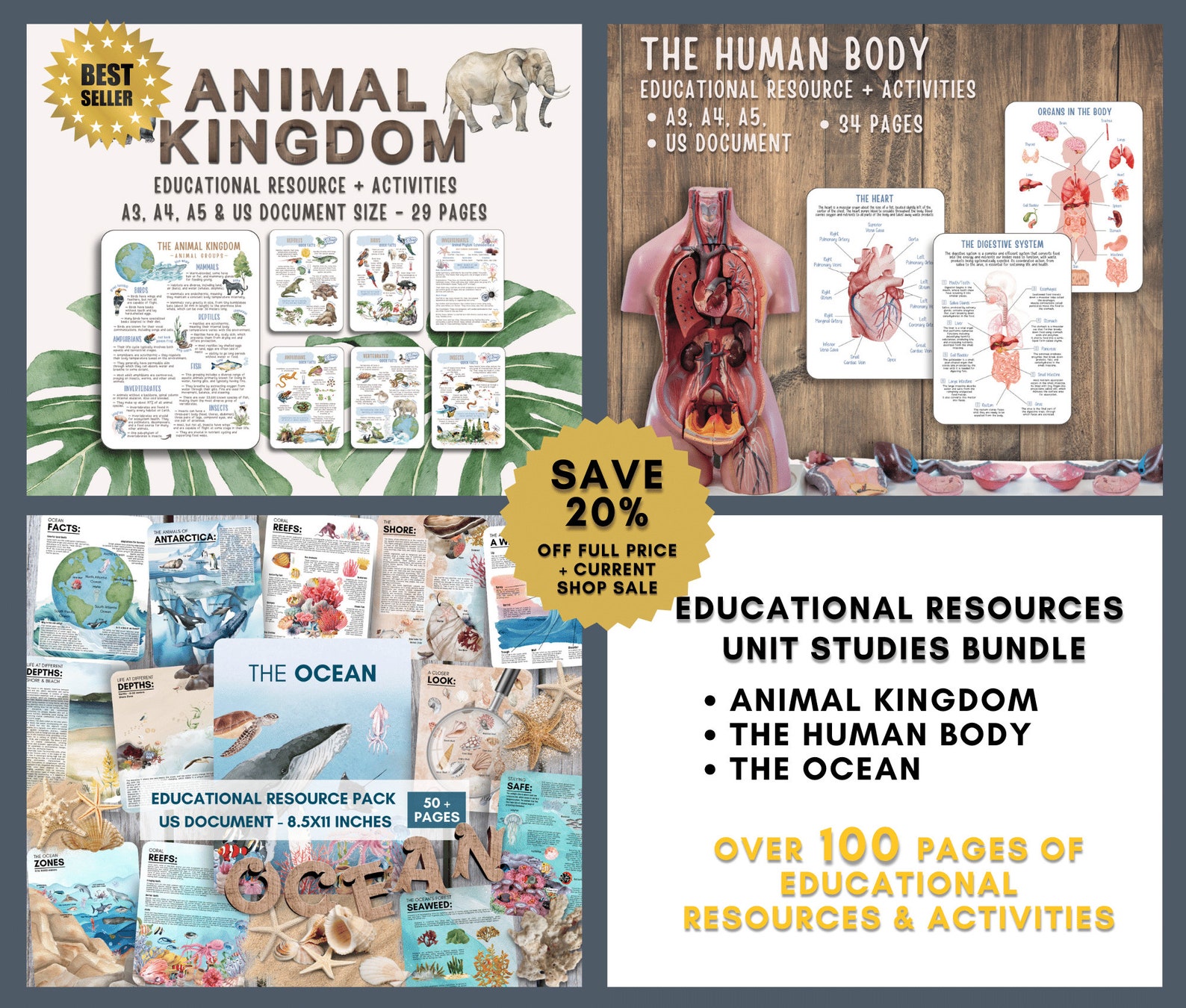 3 Unit Study BUNDLE Educational Resources for Teachers, Homeschool and ...