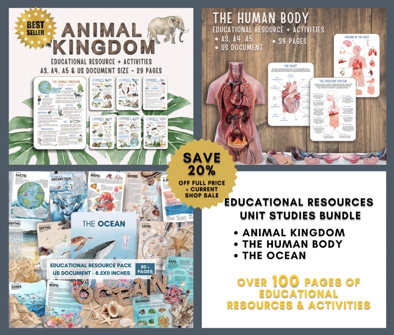 3 Unit Study BUNDLE Educational Resources for Teachers, Homeschool and ...