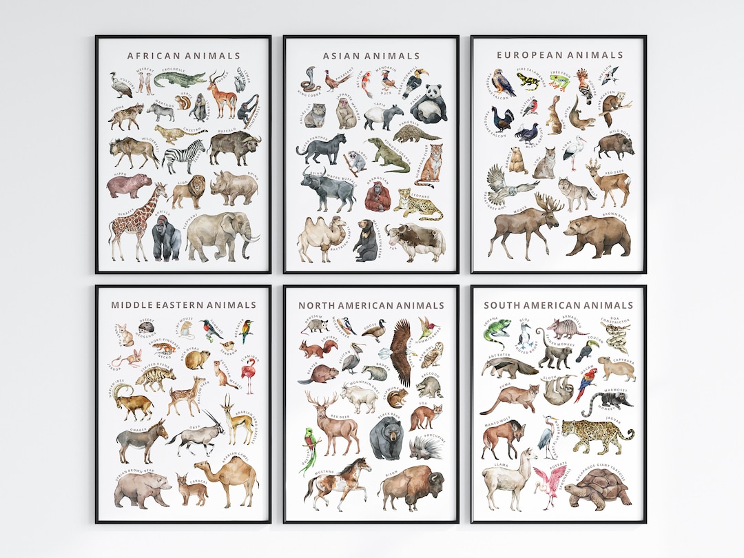 World Animals Continent Prints: Educational Montessori Posters (set of ...