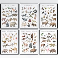 Animal Poster - Etsy