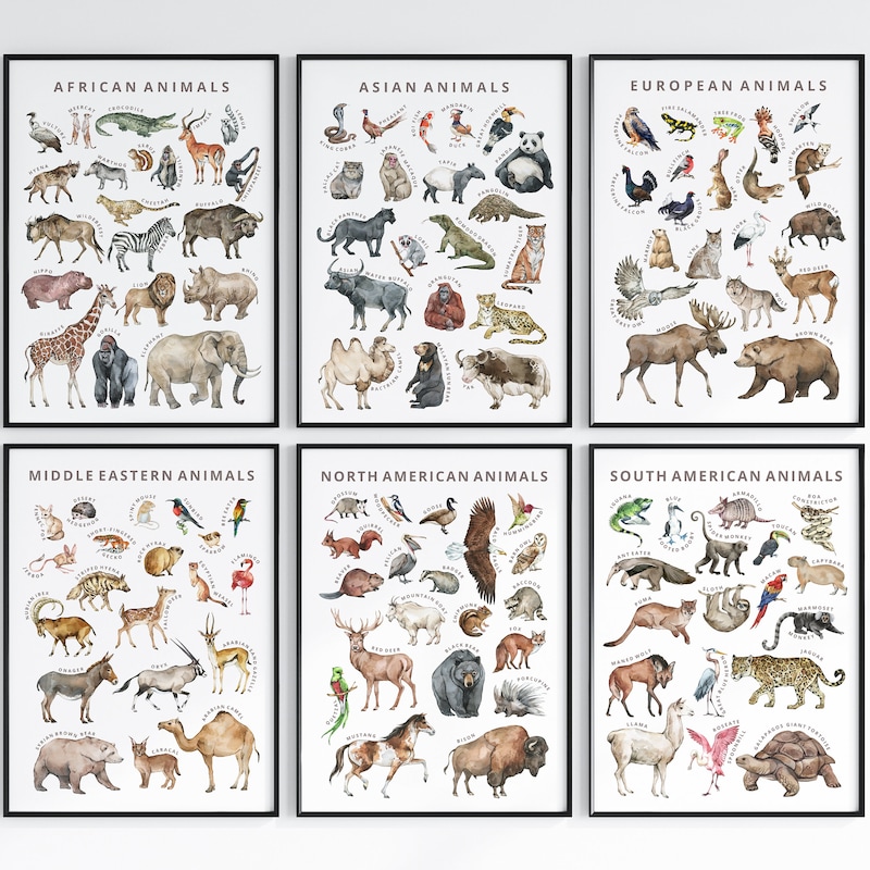 Animals Poster - Etsy