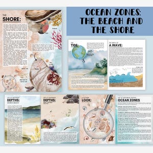 3 Unit Study BUNDLE Educational Resources for Teachers, Homeschool and ...