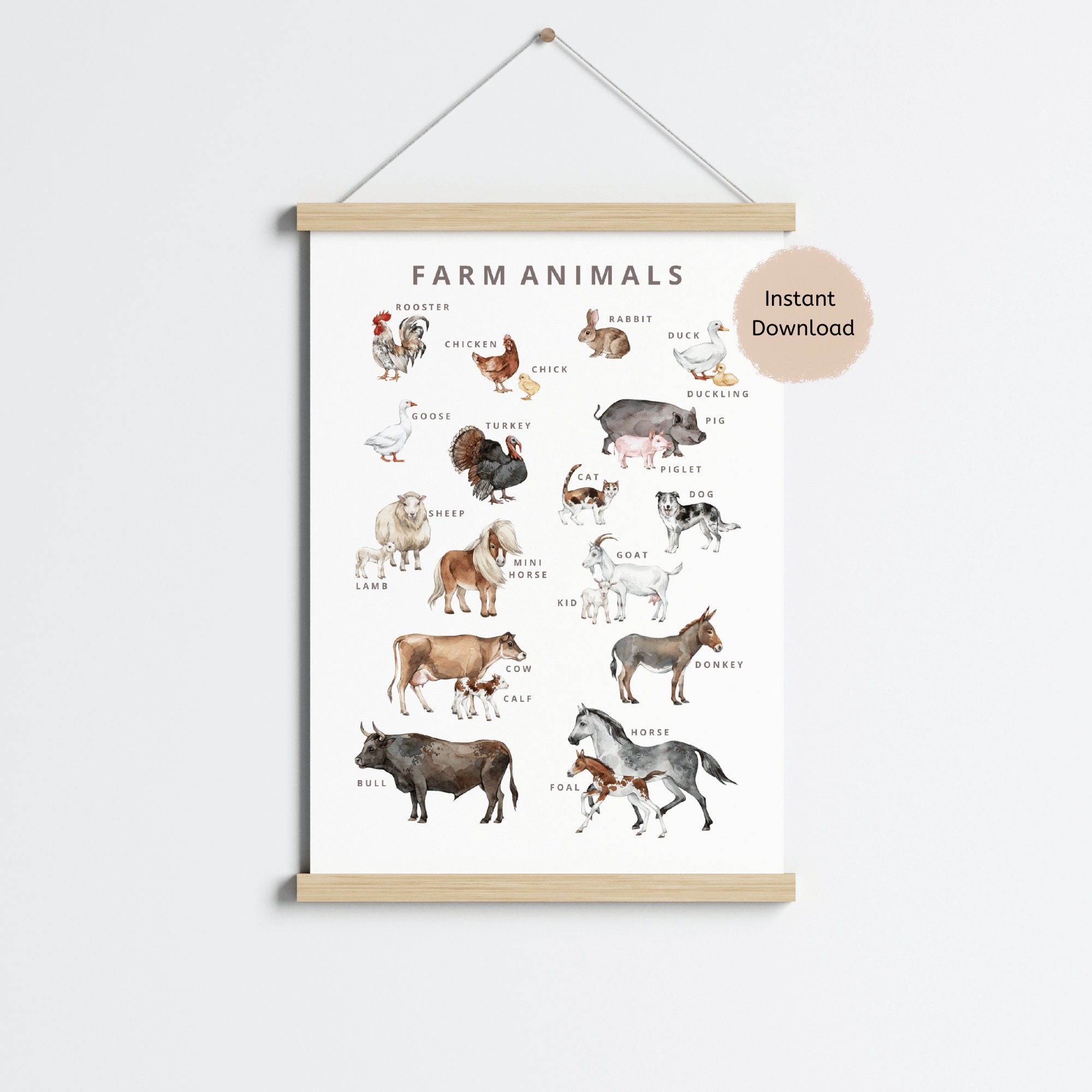 Farm Animals Poster With Stunning Watercolor Illustrations, Nature ...