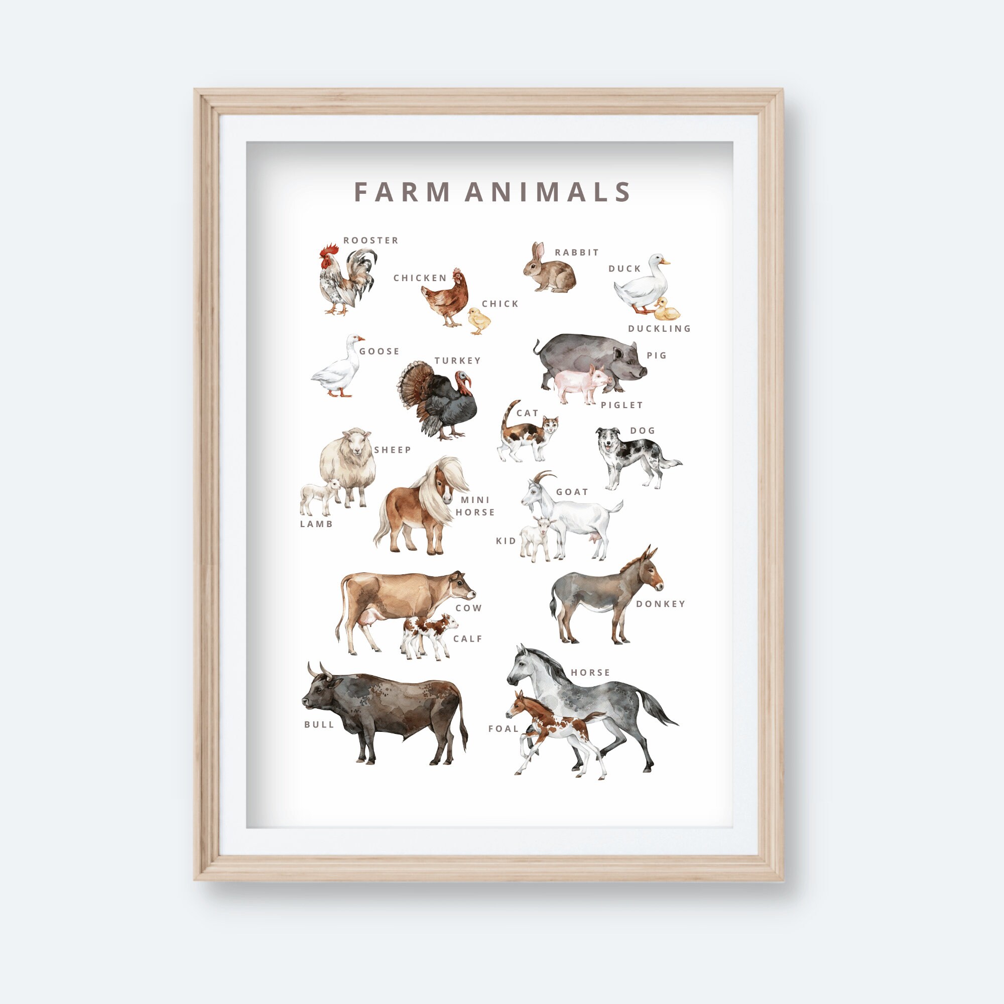 Farm Animals Poster With Stunning Watercolor Illustrations, Nature ...