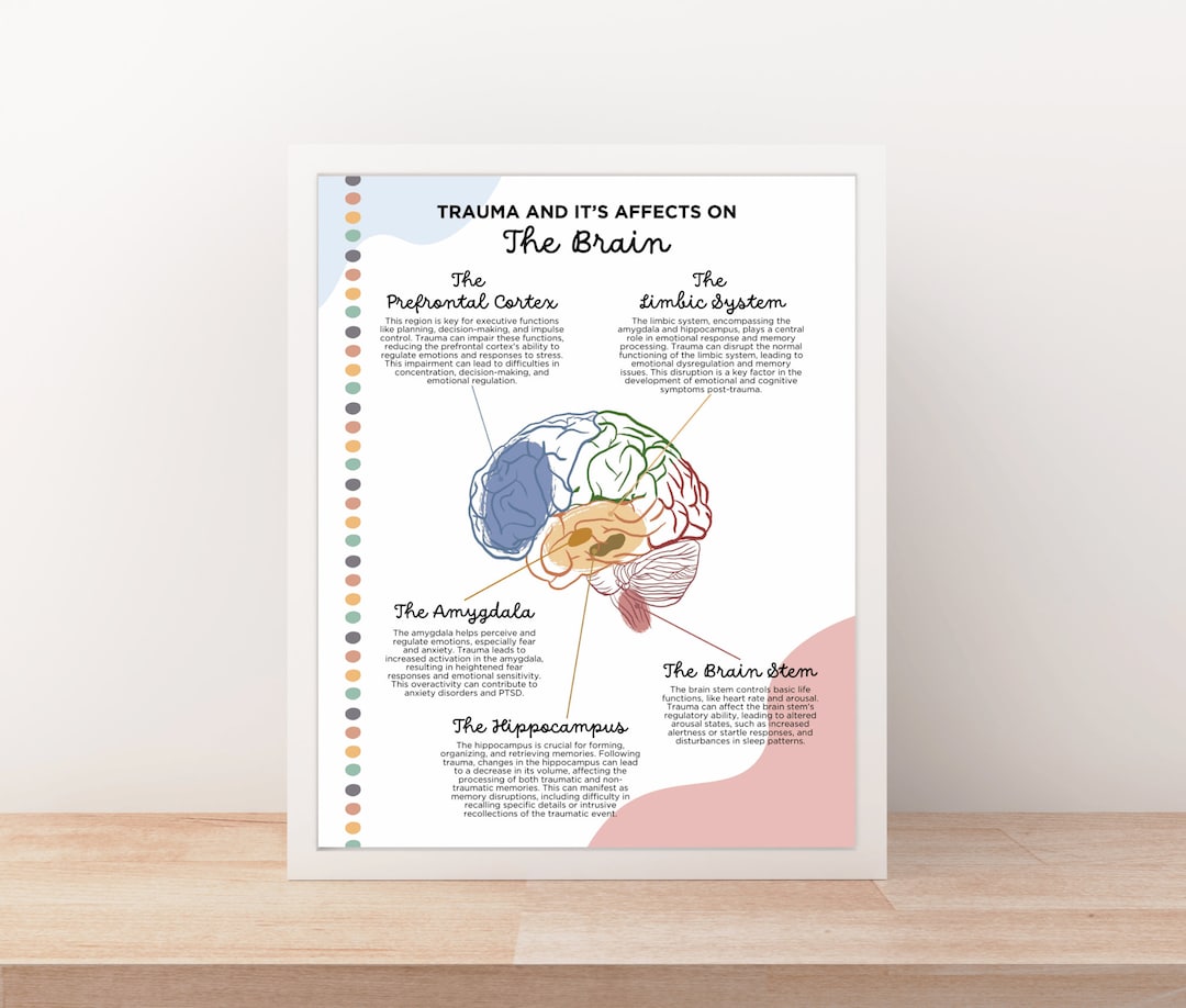 How Trauma Affects the Brain Therapist Office Decor PTSD Recovery CBT ...